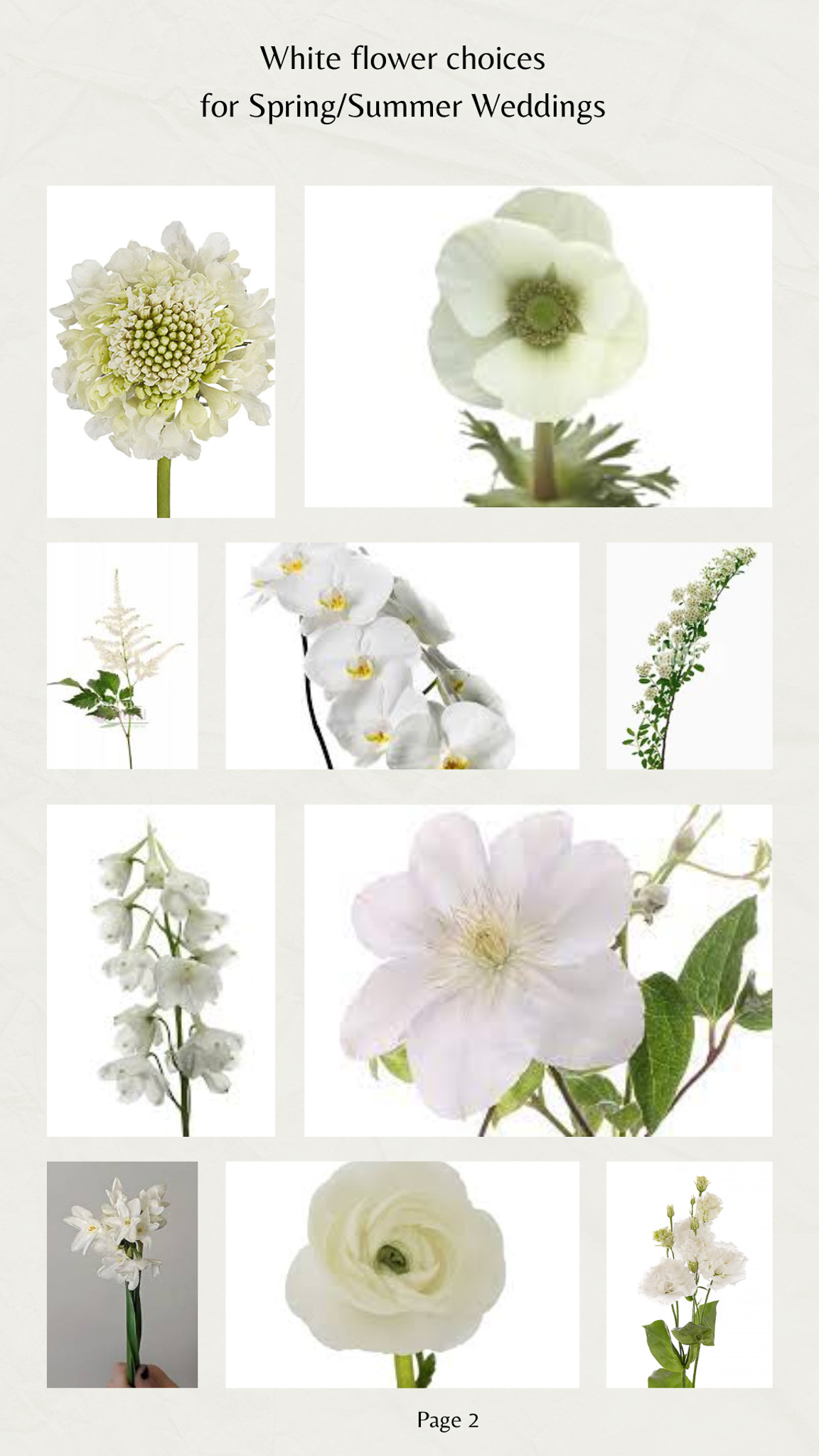 Flower Choices for White Spring Summer Wedding Bouquets - kokofloral.com